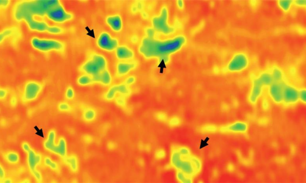 Permian Basin | TGS Multi-Client Hotspot