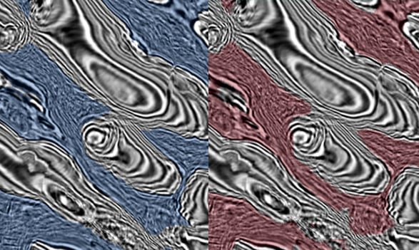 Imaging & Processing | TGS