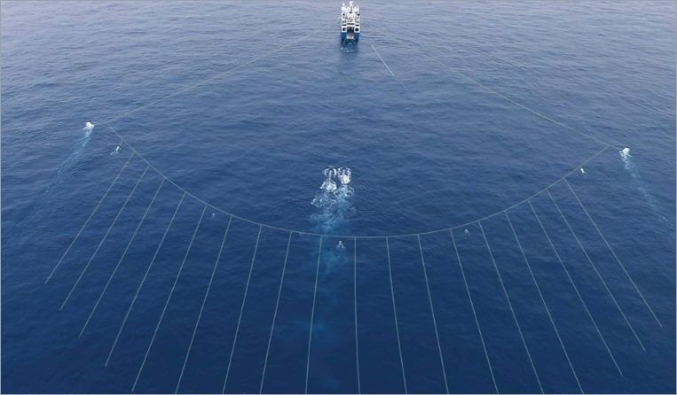 TGS Successfully Completes an Ultra-High-Resolution, 3D Geophysical ...