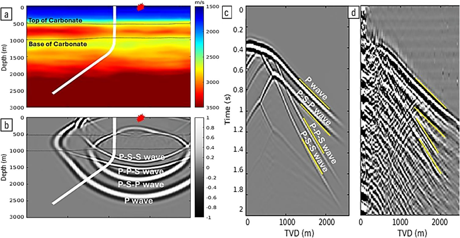 Enhancing Deep Pre-Carbonate Imaging with DAS VSP Mode-Converted Energy ...